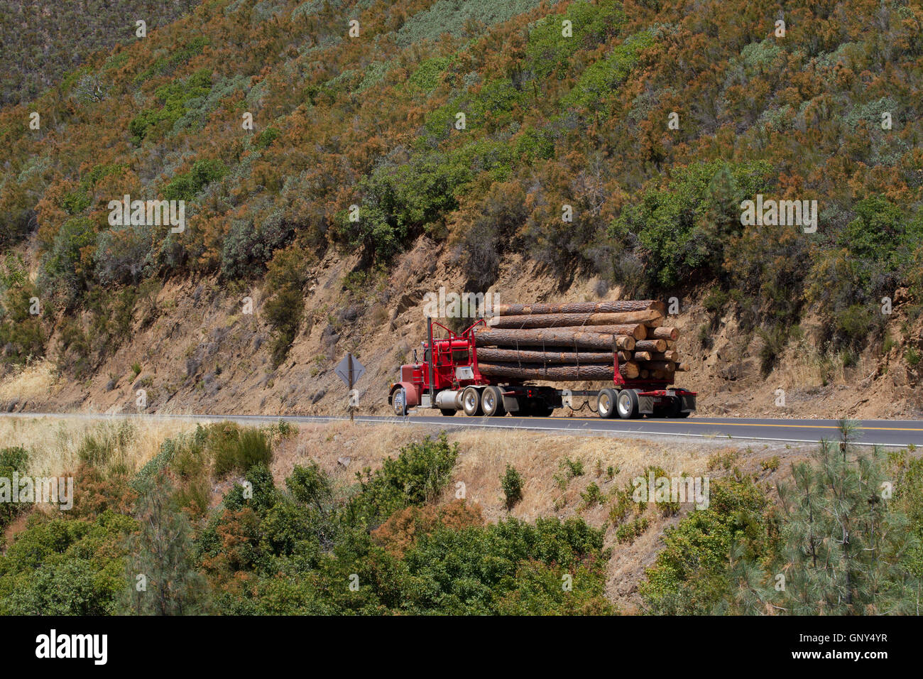 Truck loaded with tree trunks on Highway. California. USA Stock Photo ...