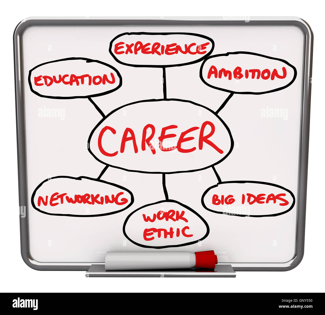 Career Diagram Dry Erase Board How to Succeed in Job Stock Photo - Alamy