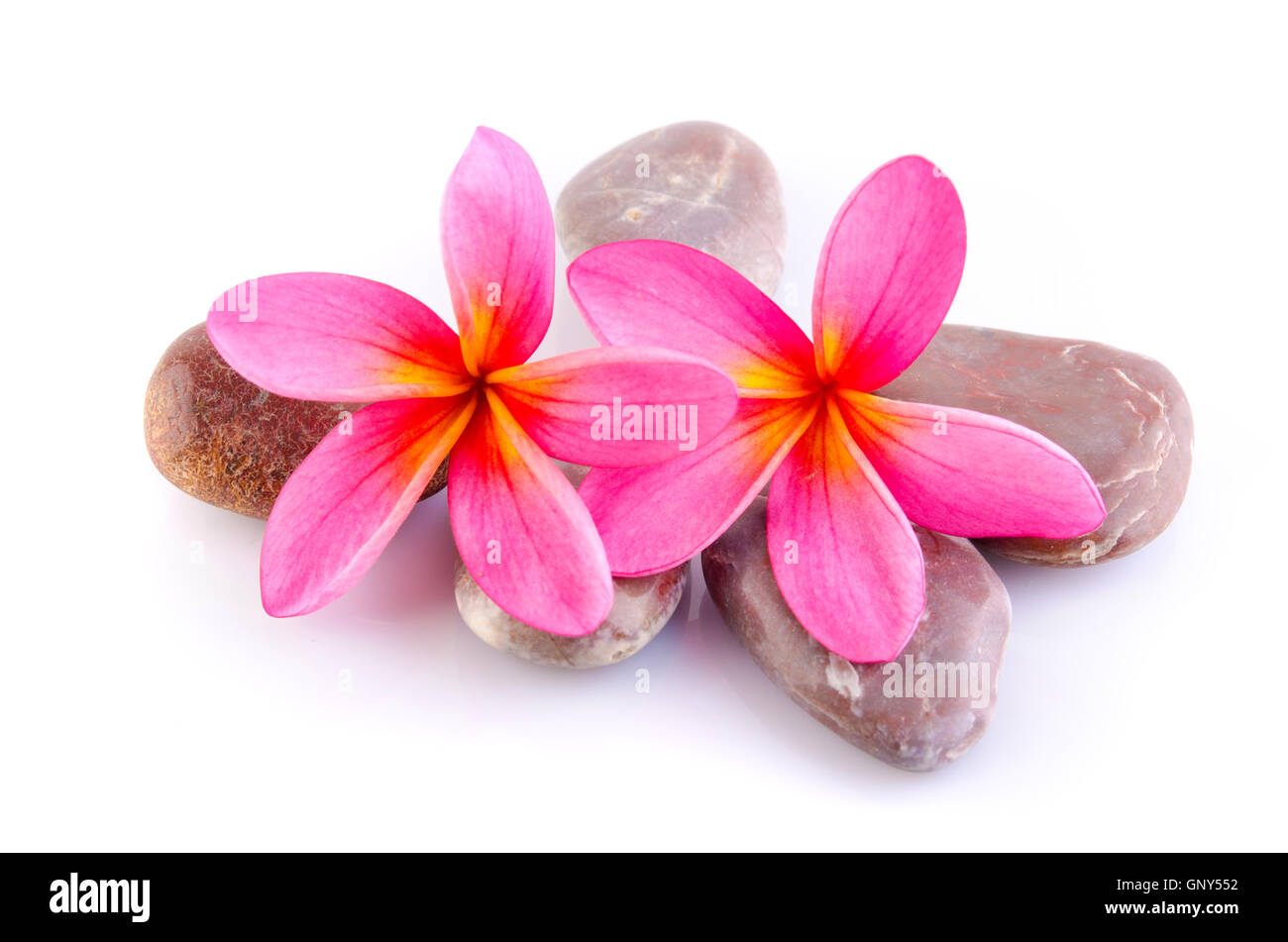 Bali flower bath hi-res stock photography and images - Alamy