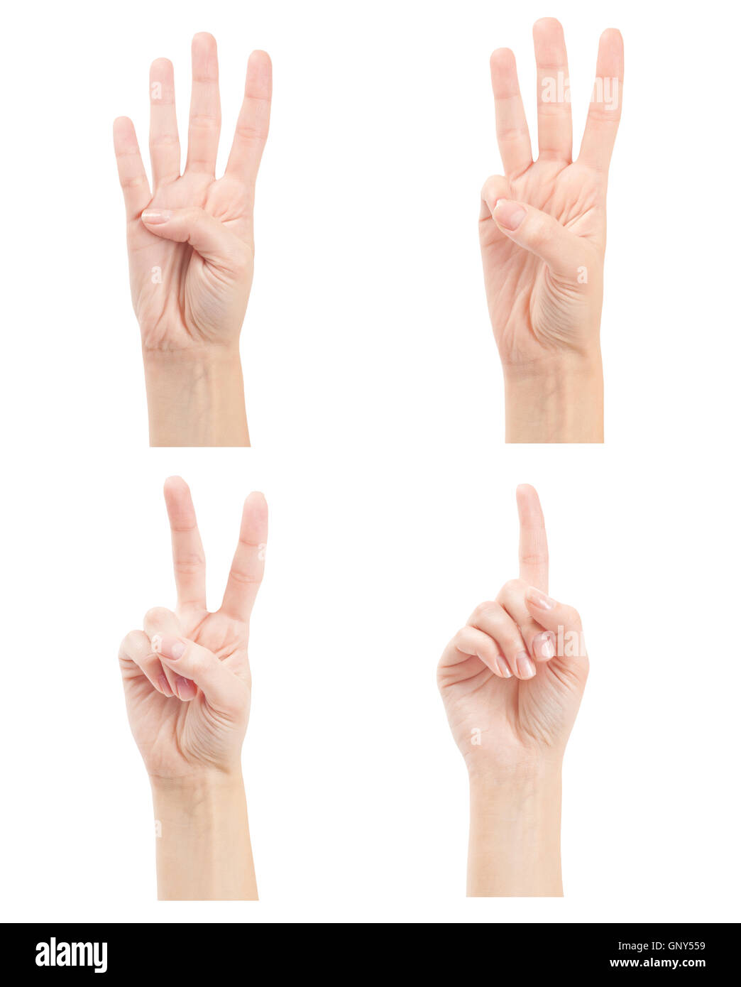 Counting woman hands (1 to 4) isolated on white background Stock Photo ...