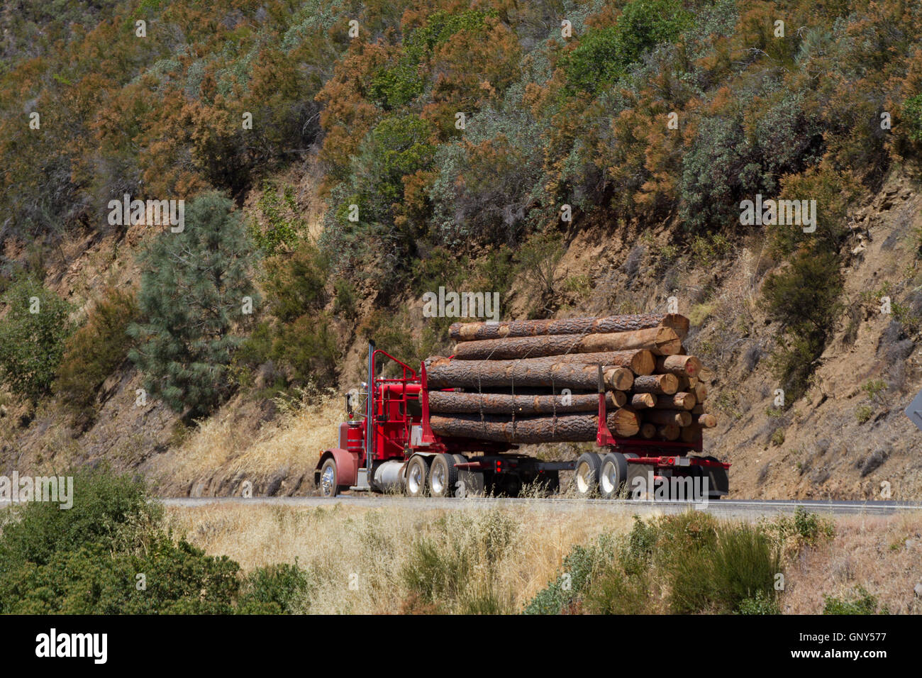 Loaded logging truck hi-res stock photography and images - Alamy