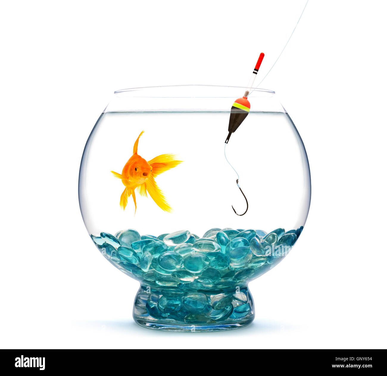 Catching goldfish hi-res stock photography and images - Alamy
