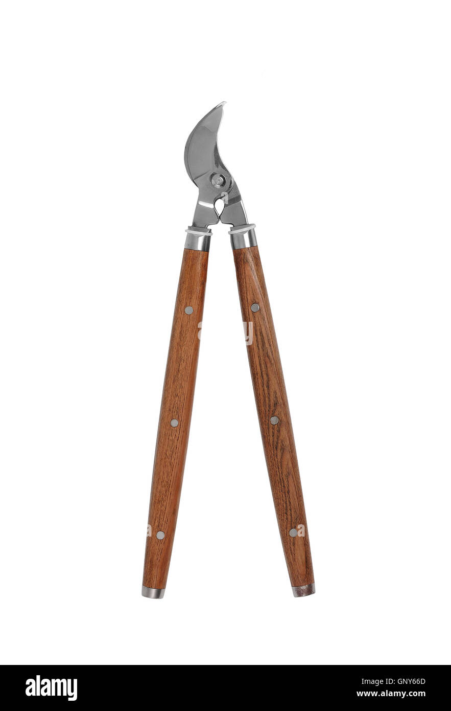 Secateurs isolated on white Stock Photo - Alamy