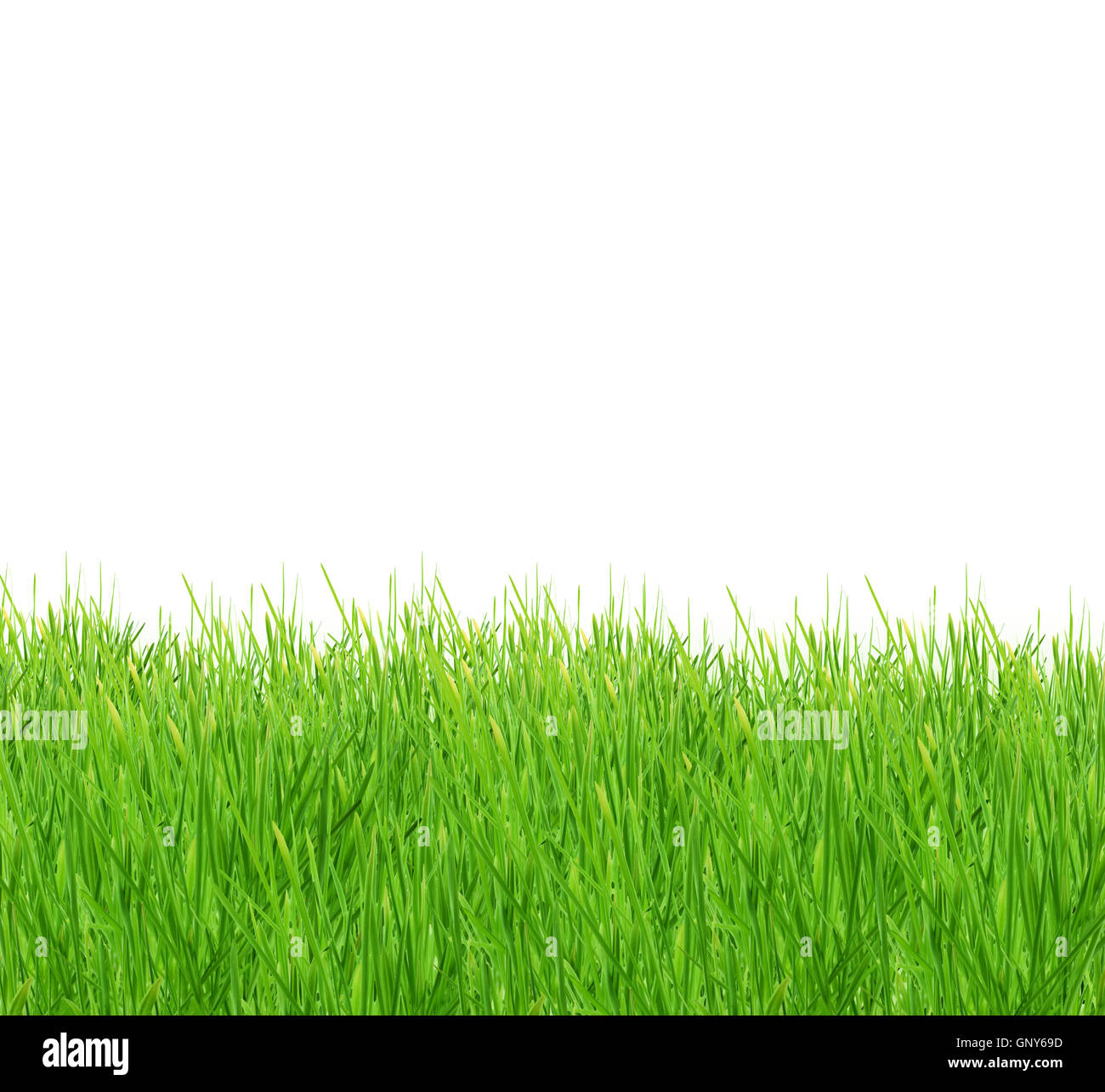 Isolated green grass Stock Photo - Alamy