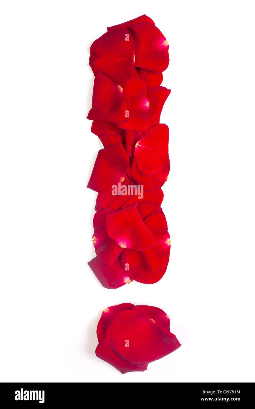 Exclamation sign made from red petals rose on white Stock Photo - Alamy