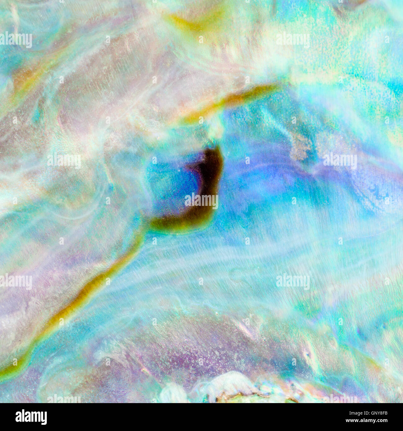 Shiny nacre of Paua or Abalone shell background Stock Photo - Alamy