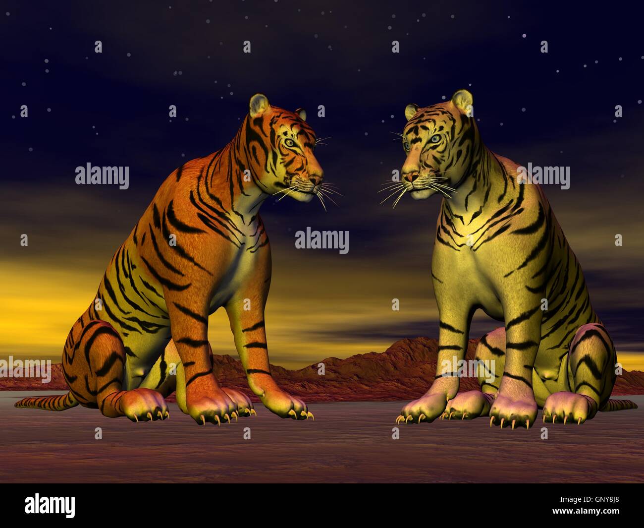 Two tigers in the desert Stock Photo - Alamy