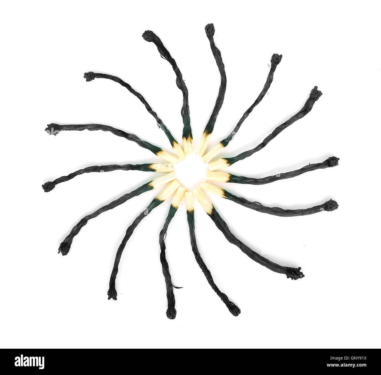 Burnt match Cut Out Stock Images & Pictures - Alamy