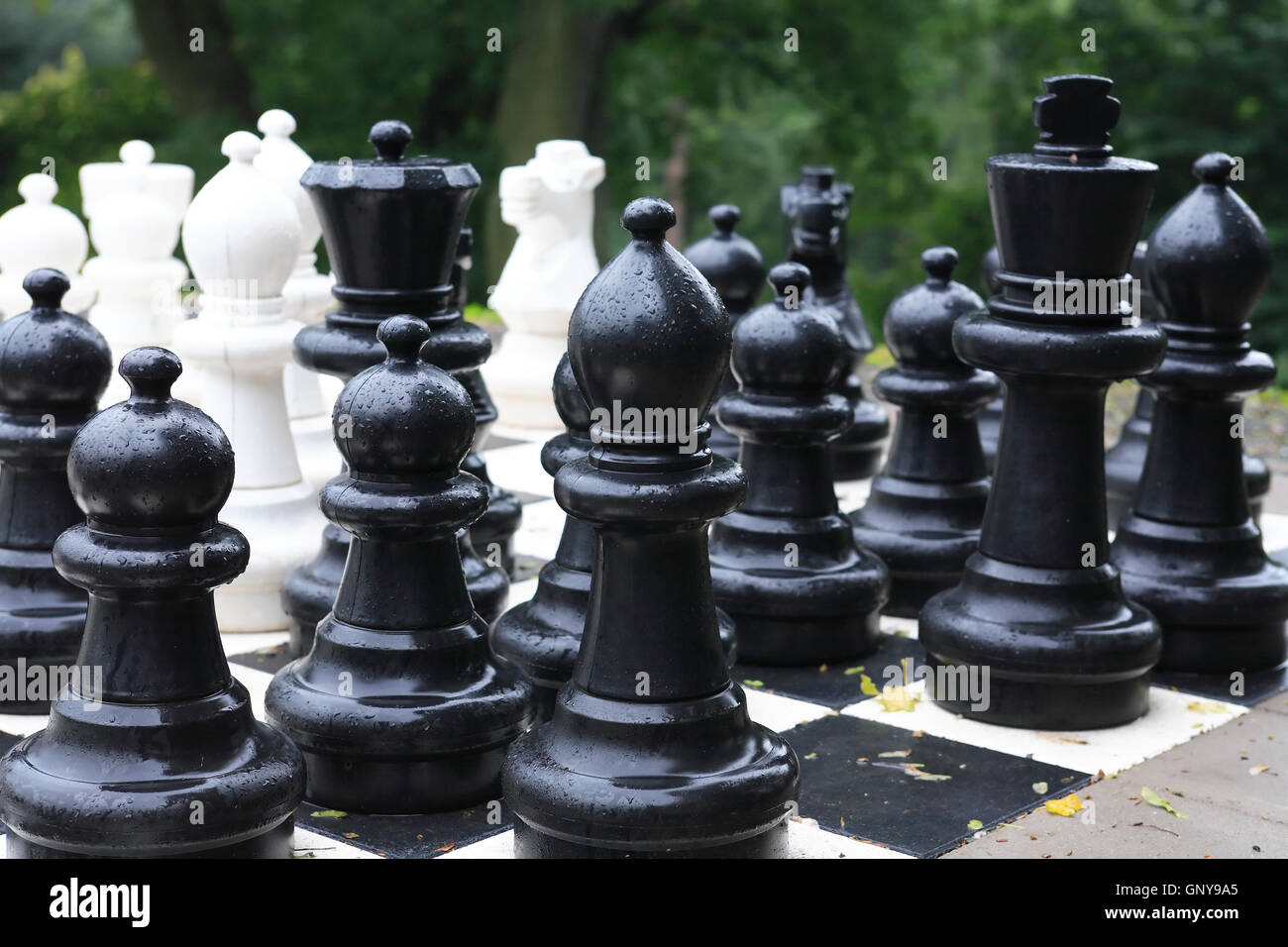 Chess After Rain Stock Photo - Alamy