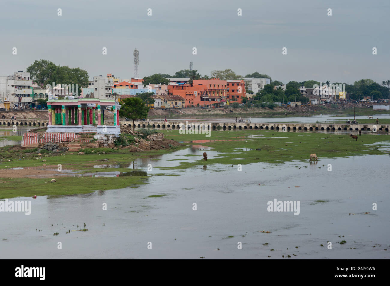 Meenakshi shrine in the Vaigai River Stock Photo - Alamy