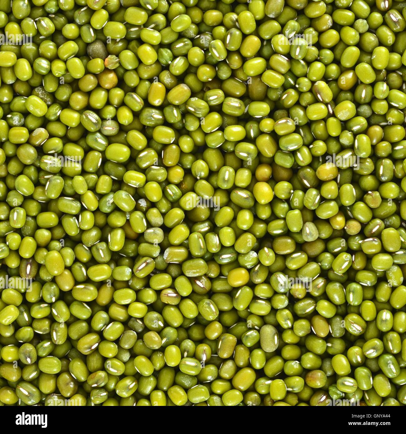 Small pea beans hi-res stock photography and images - Alamy