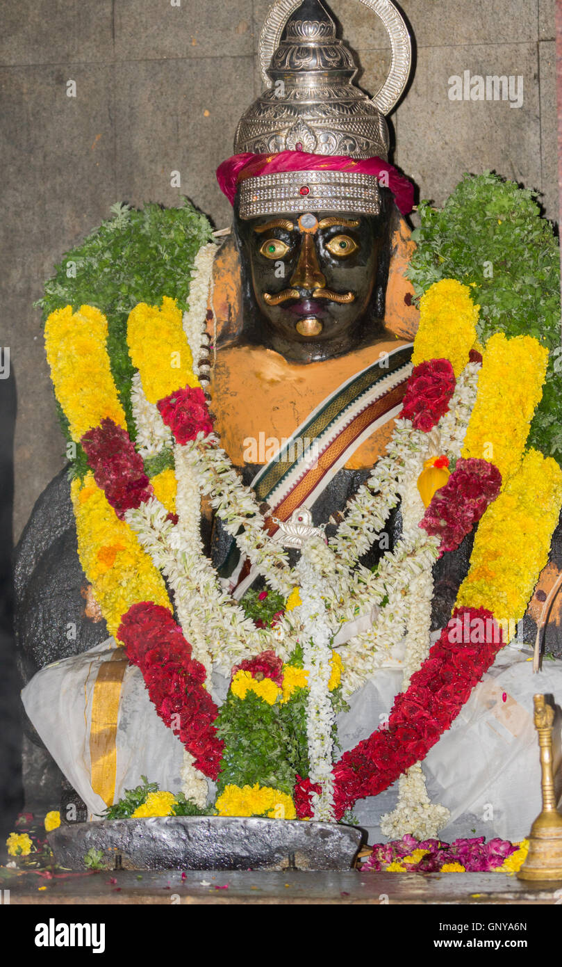 Pandi hi-res stock photography and images - Alamy