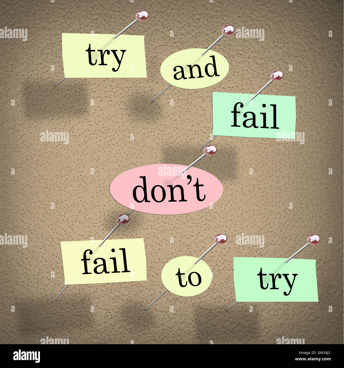 Don't Fail to Try Motivational Saying Words on Board Stock Photo - Alamy