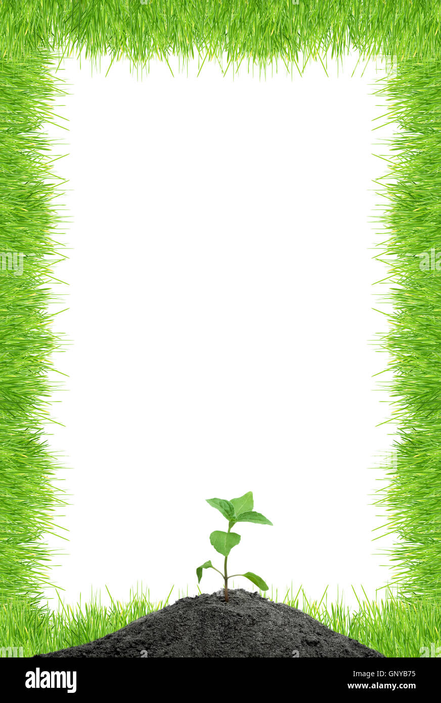 Sprout shape hi-res stock photography and images - Alamy