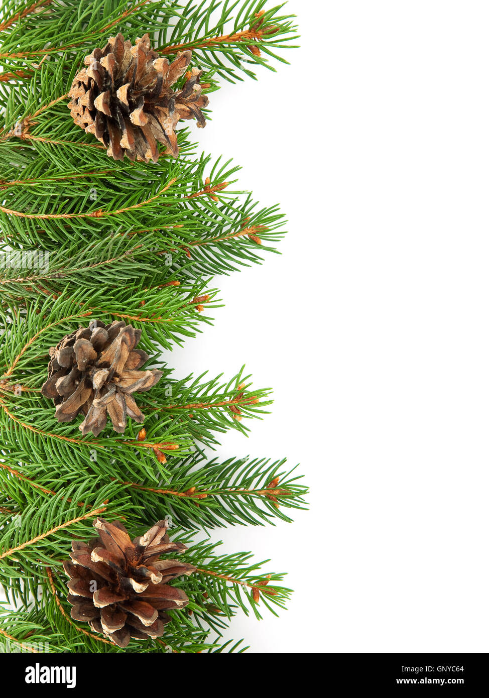 Christmas framework with snow and cones Stock Photo - Alamy