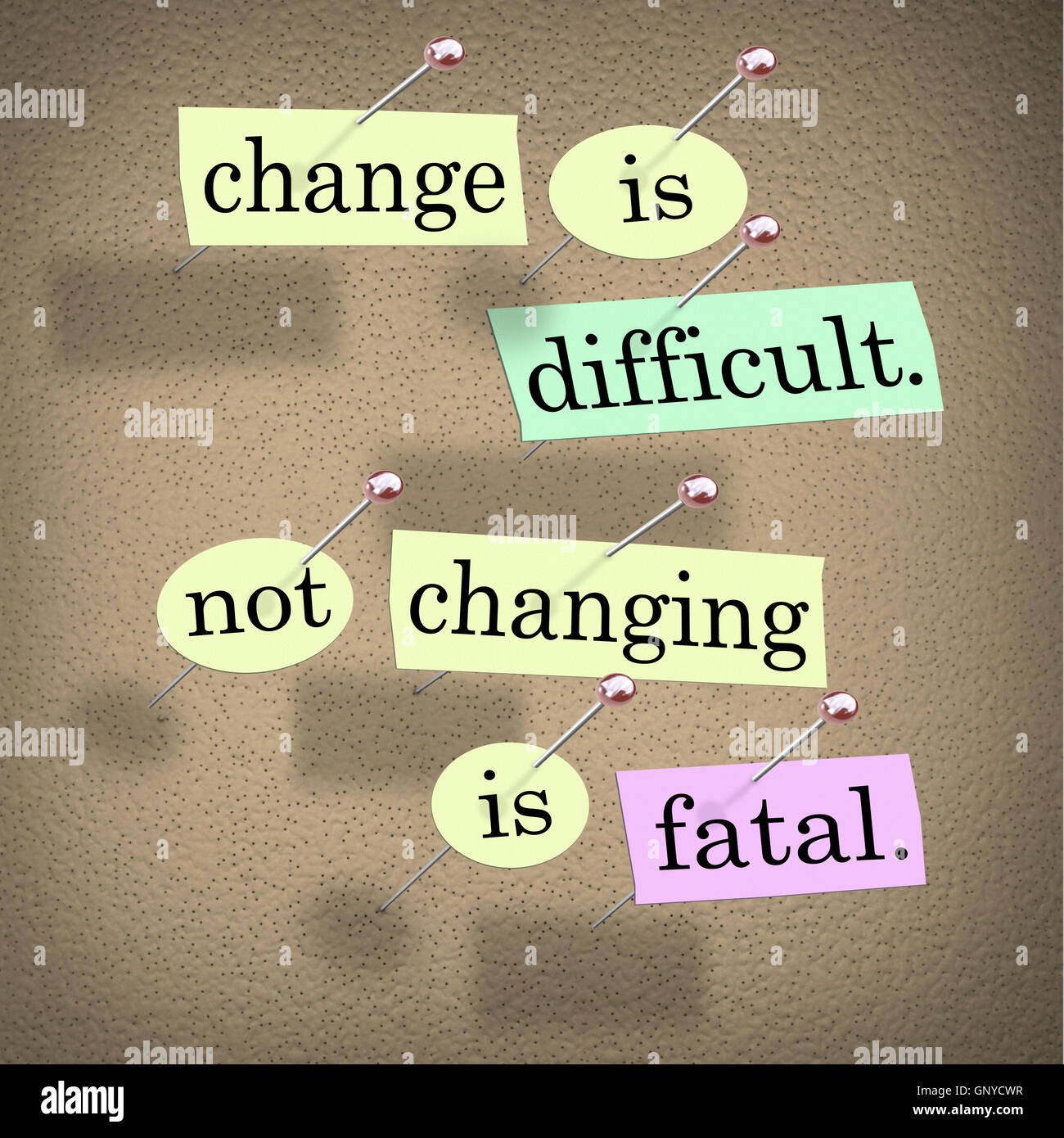 Change Difficult Not Changing is Fatal Words Bulletin Board Stock Photo ...