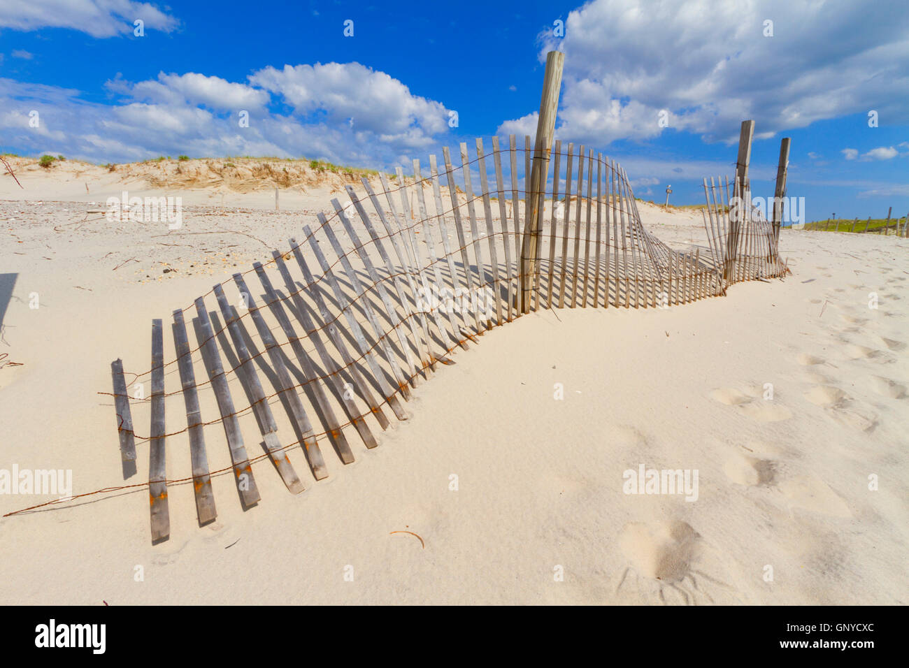 Sand dunes on Atlantic coast with a fence Stock Photo - Alamy