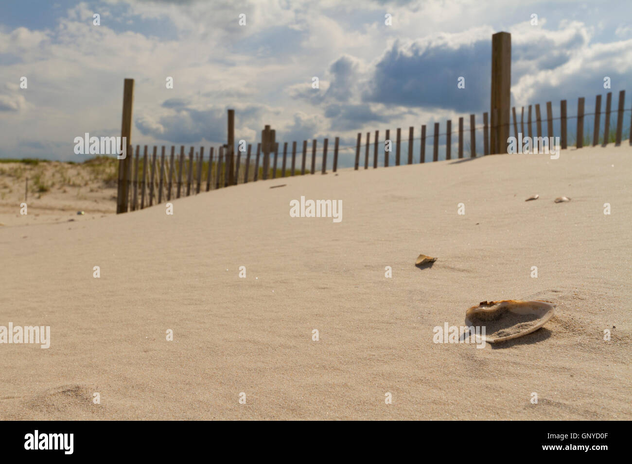 Sand dunes on Atlantic coast with a fence Stock Photo - Alamy