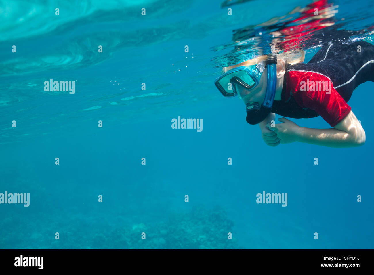Apnea dive red sea hi-res stock photography and images - Alamy