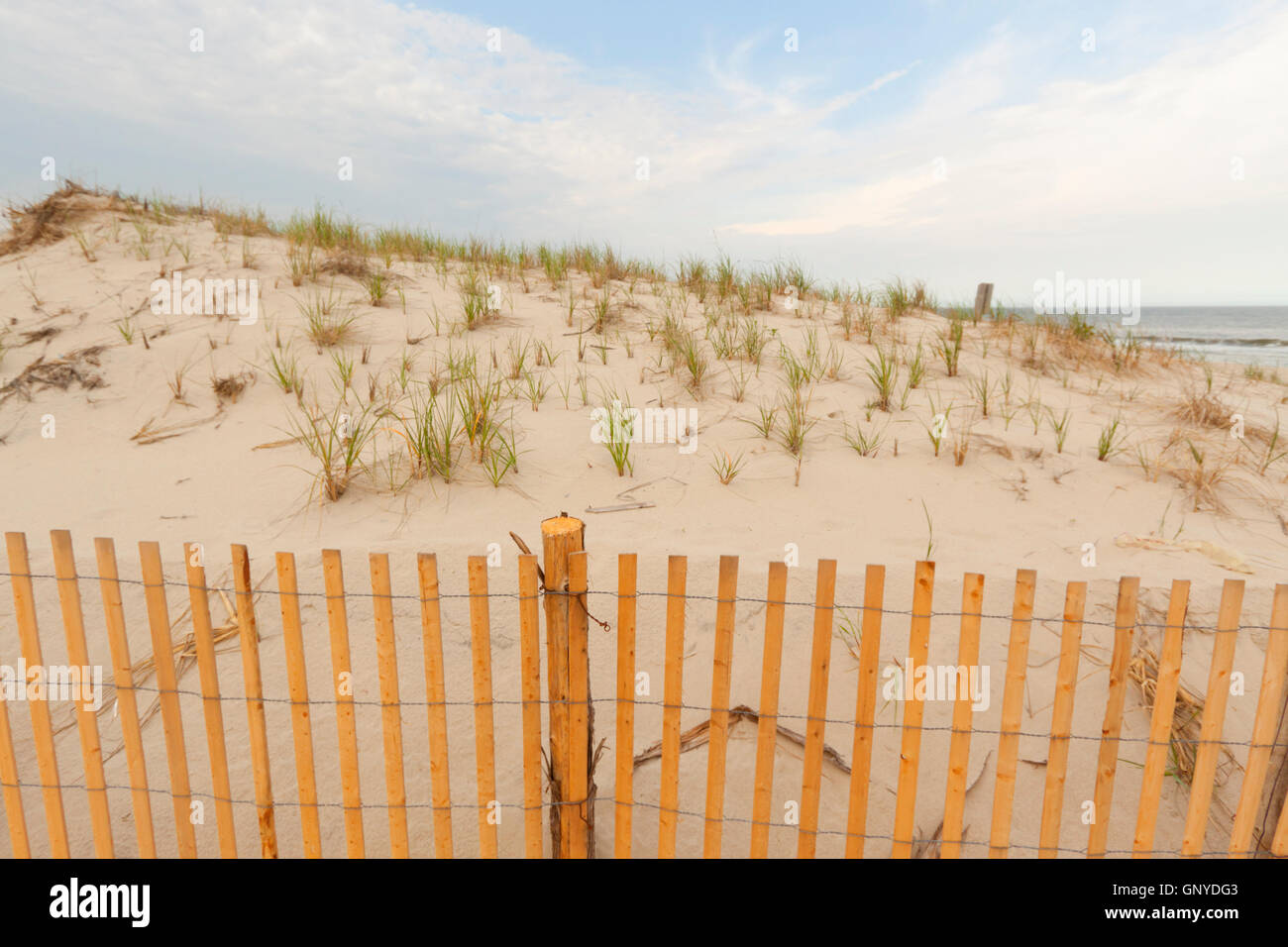 Sand dunes on Atlantic coast with a fence Stock Photo - Alamy