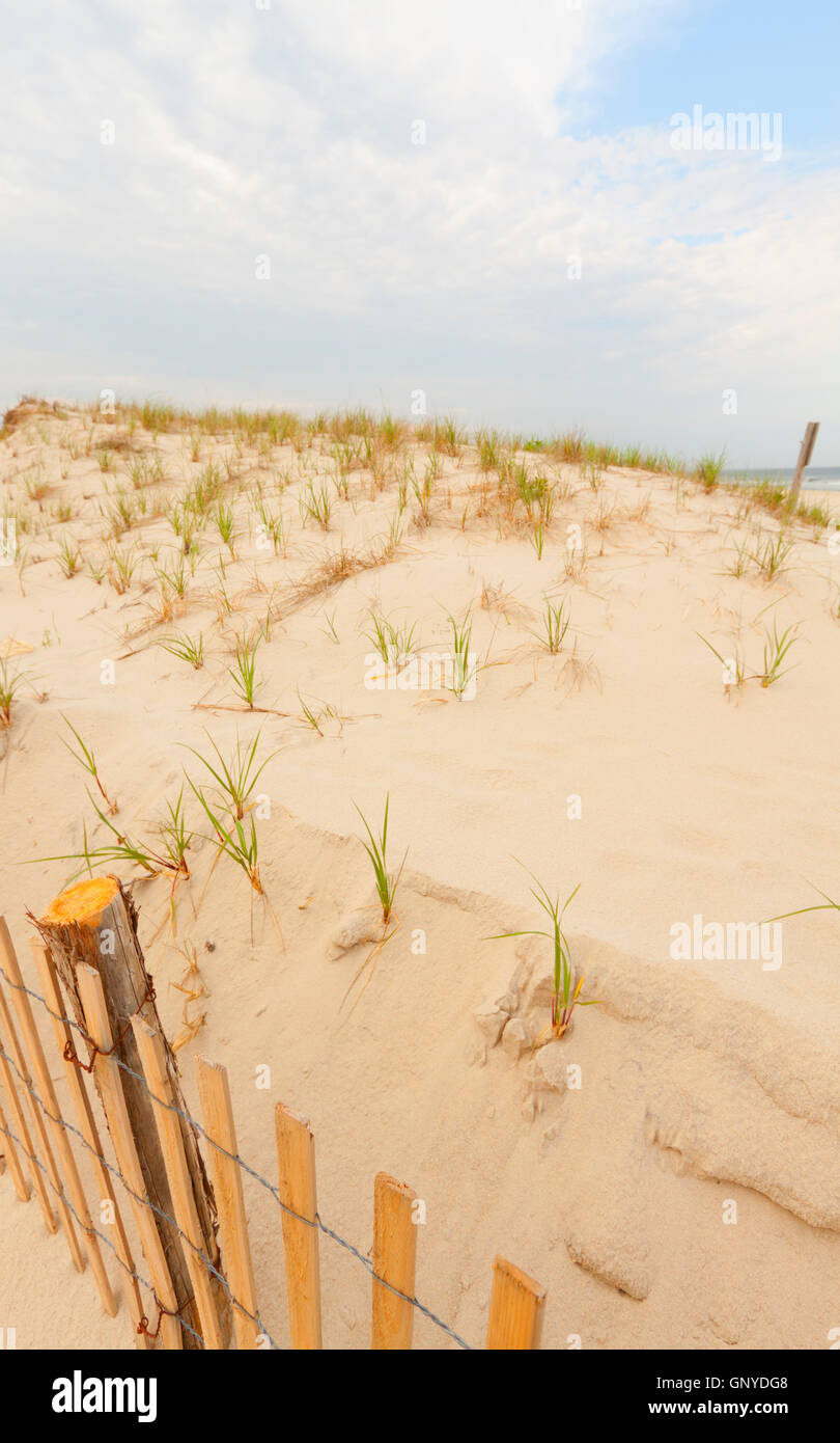 Sand dunes on Atlantic coast with a fence Stock Photo - Alamy