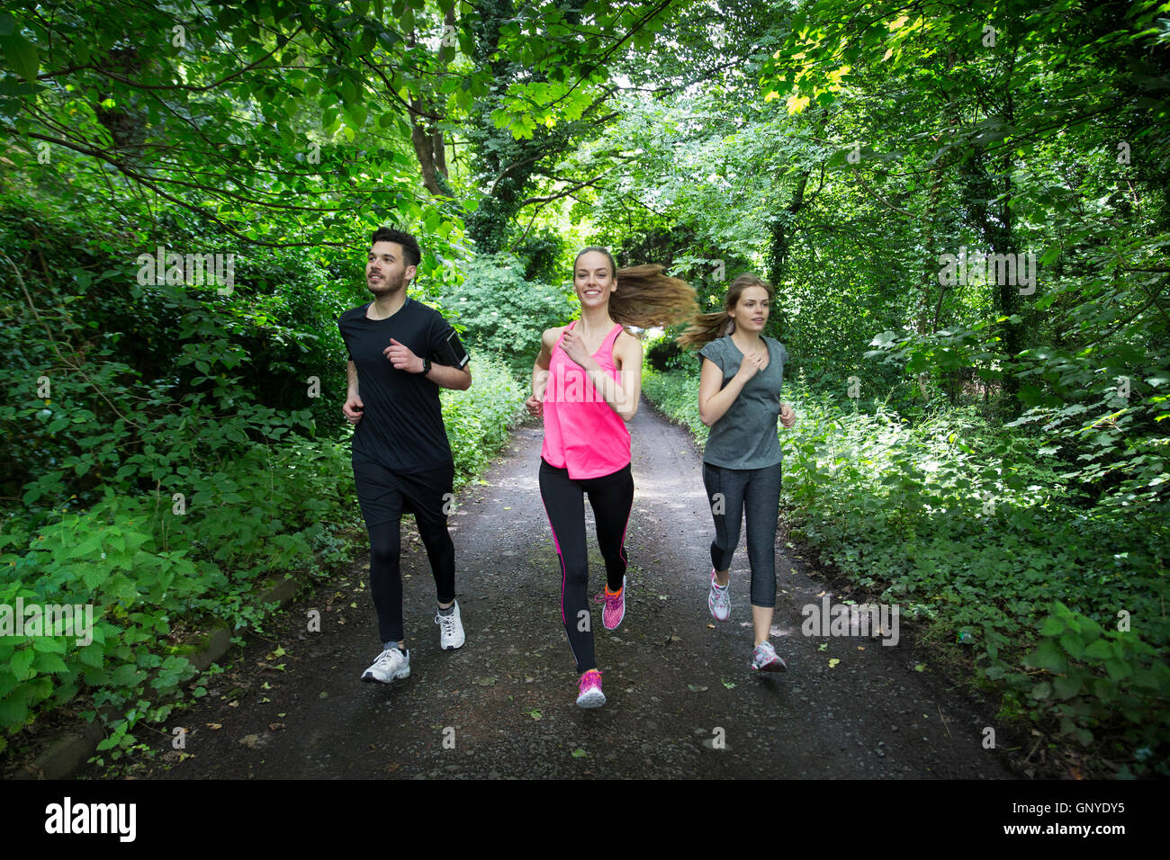 Three friends out running on forest trail, training and exercising ...