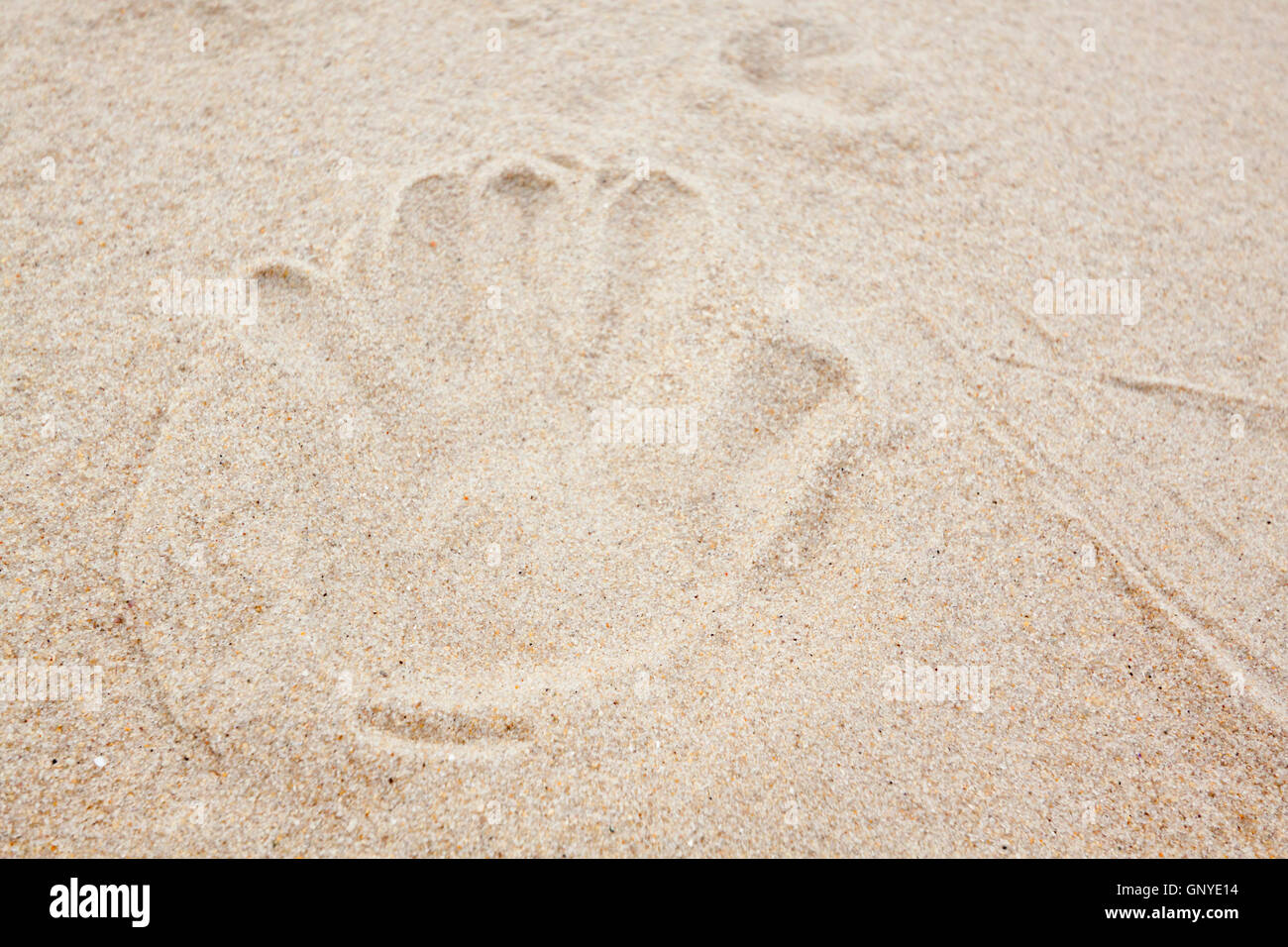 Human handprint on a beach sand Stock Photo - Alamy
