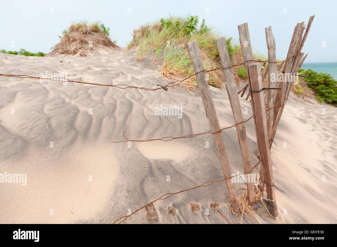 Sand dunes on Atlantic coast with a fence Stock Photo - Alamy