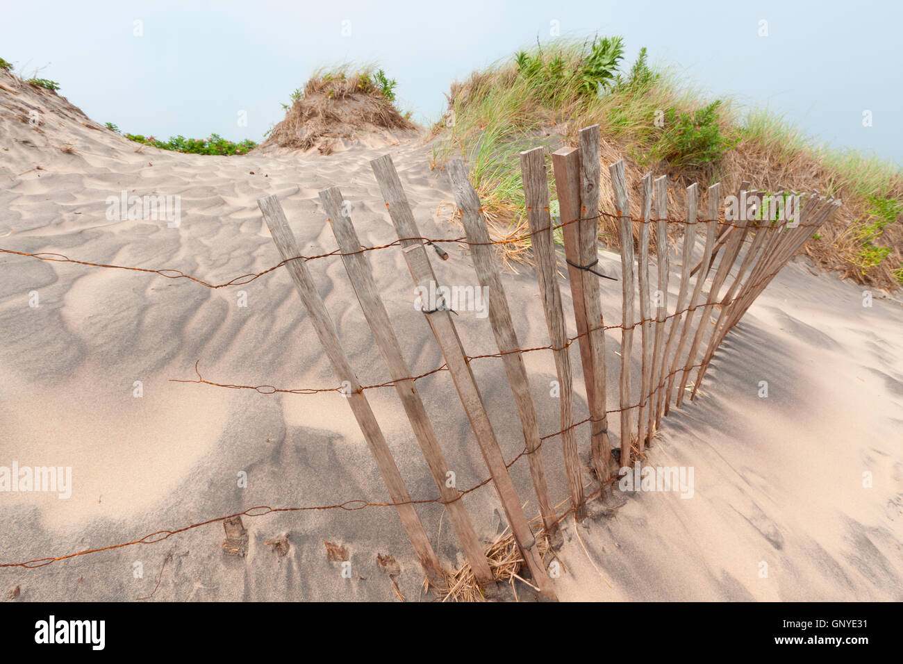 Sand dunes on Atlantic coast with a fence Stock Photo - Alamy