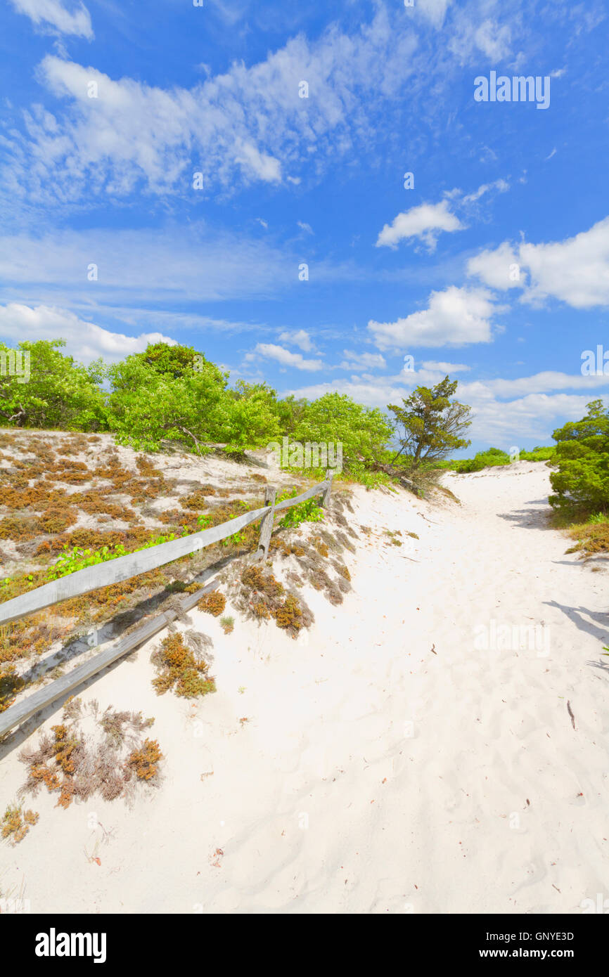 Sand dunes on the beach Stock Photo - Alamy