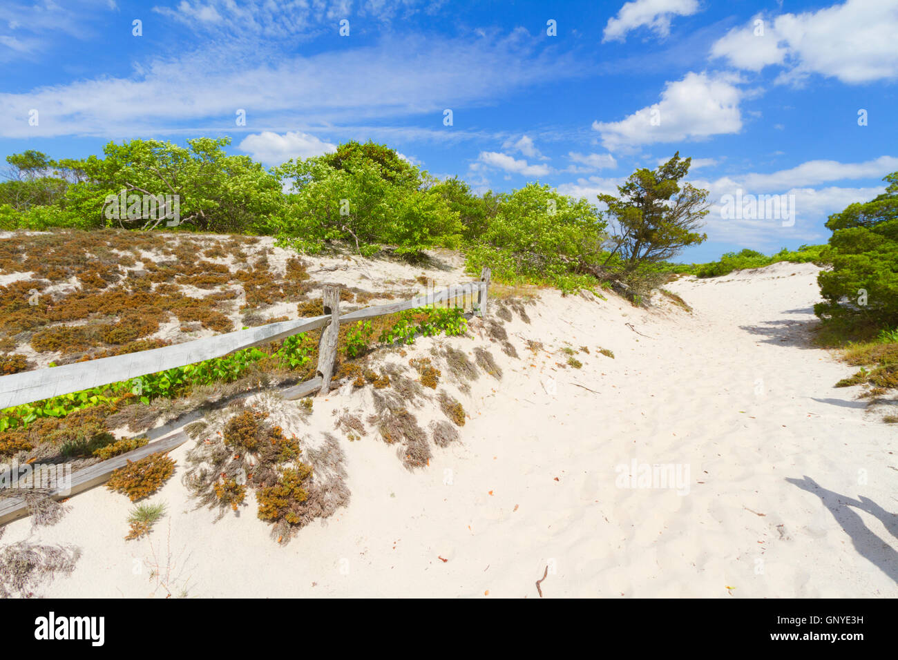 Sand dunes on the beach Stock Photo - Alamy