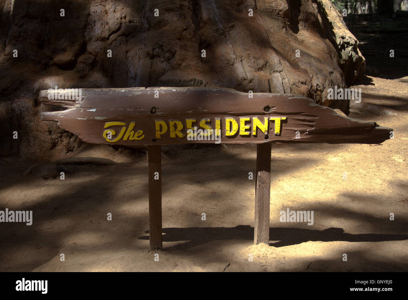 The president sequoia hi-res stock photography and images - Alamy