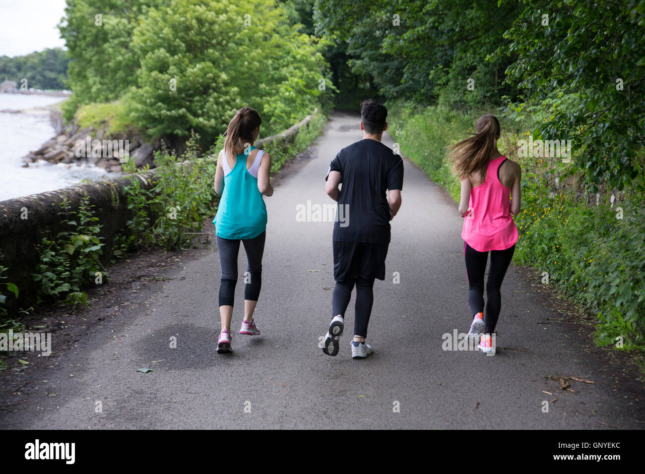 Three friends out running on forest trail, training and exercising ...
