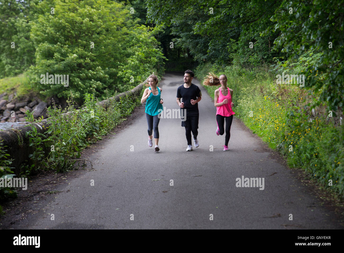 Three friends out running on forest trail, training and exercising ...