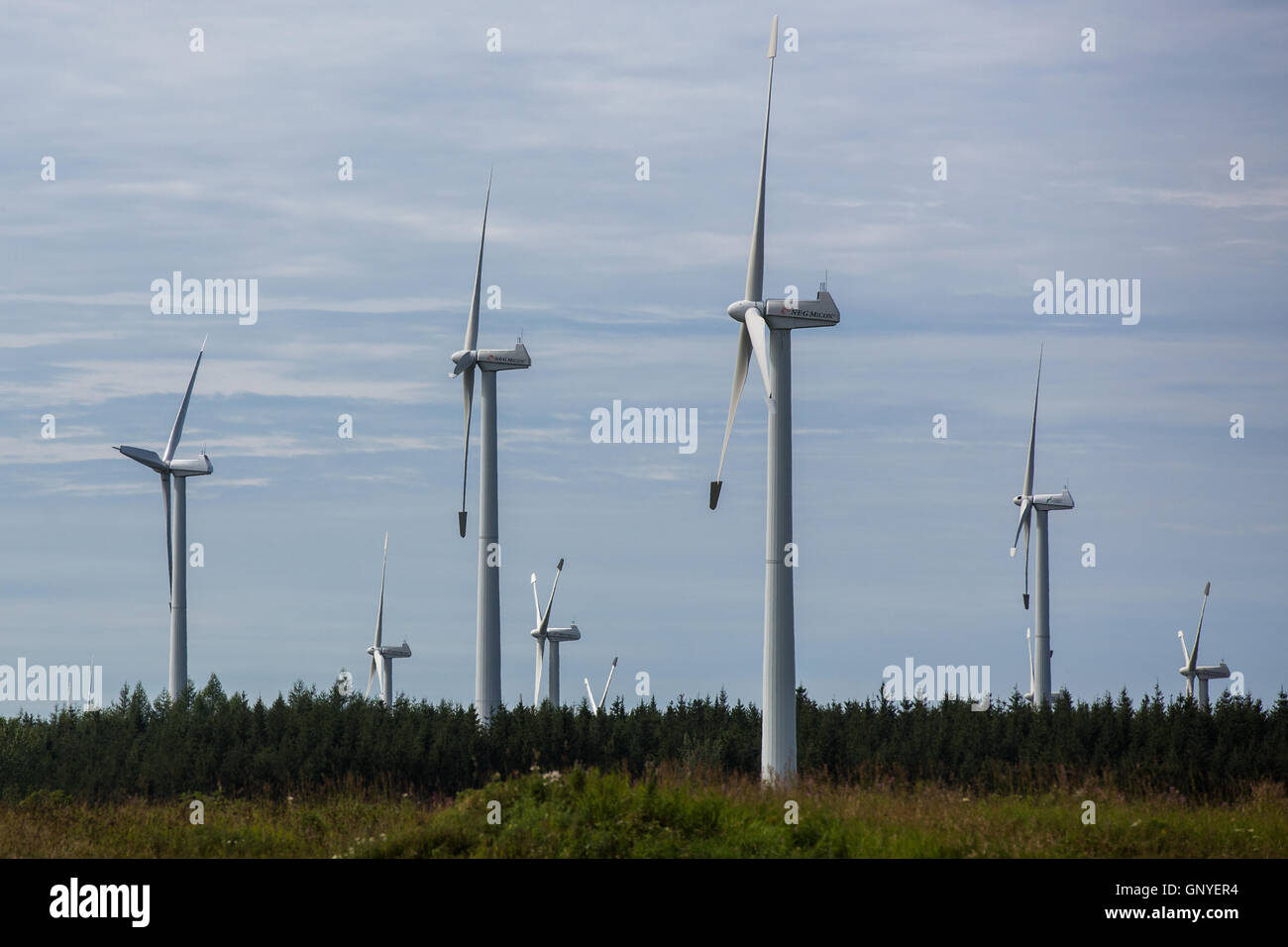 Wind turbines in Cap-Chat, Que., on Aug. 28, 2016 Stock Photo - Alamy