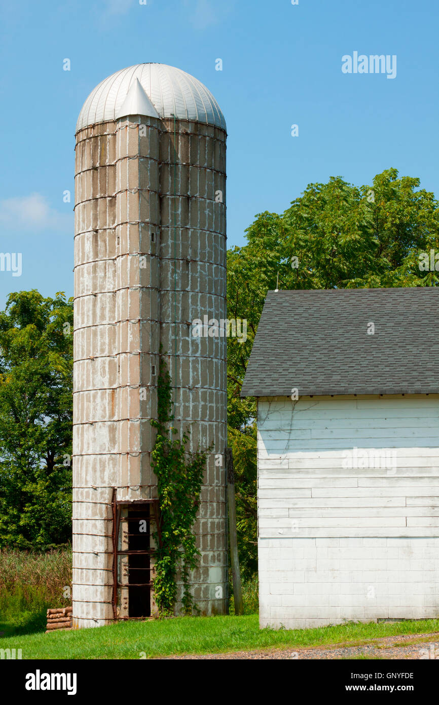 Old abandoned grain silo on the farmland Stock Photo - Alamy