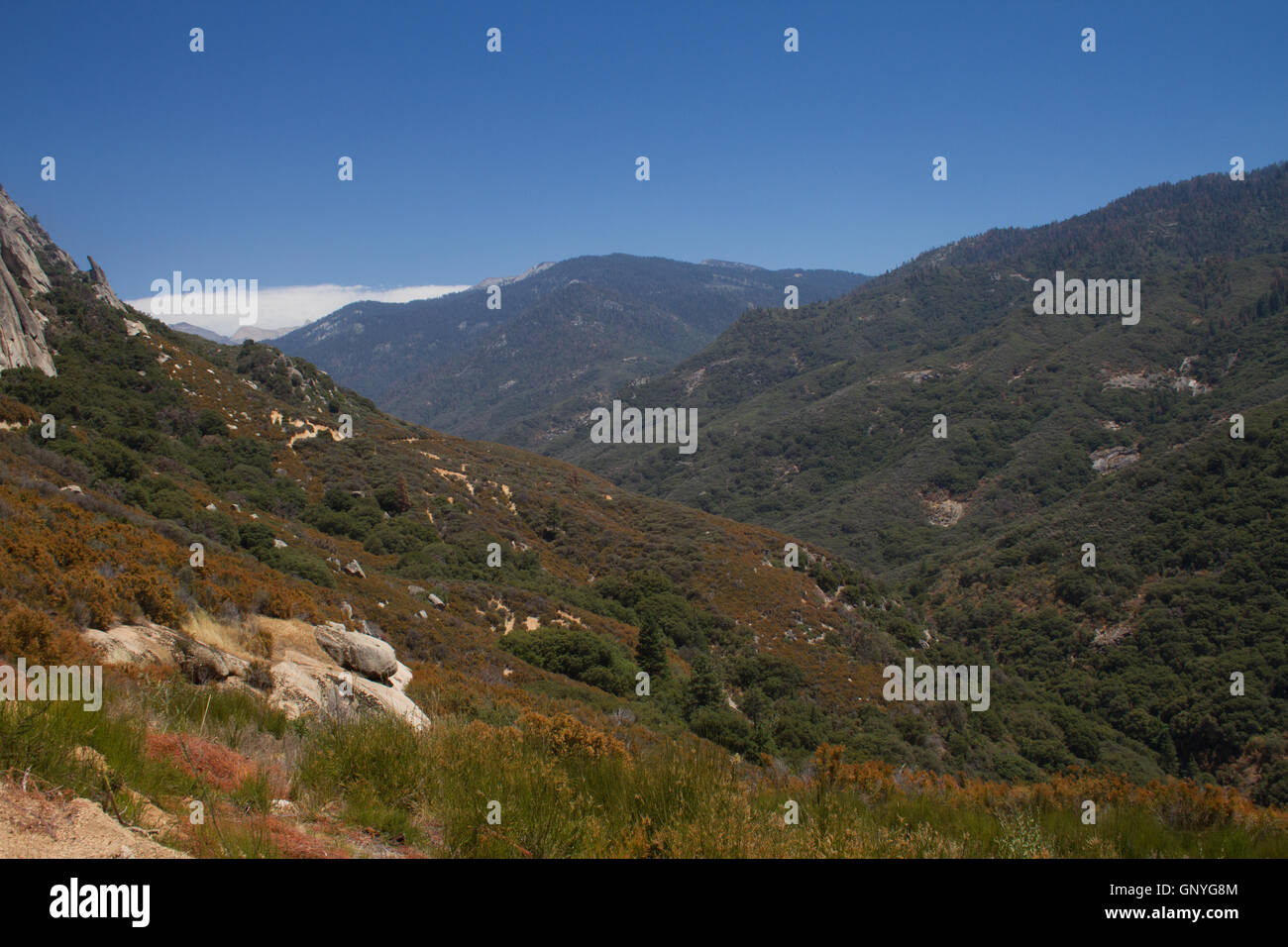 Mineral King Valley, part of Sequoia National Park. California. USA ...