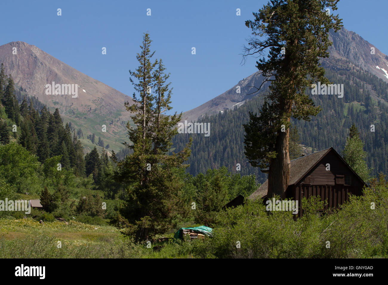 Mineral King Valley, part of Sequoia National Park. California. USA ...