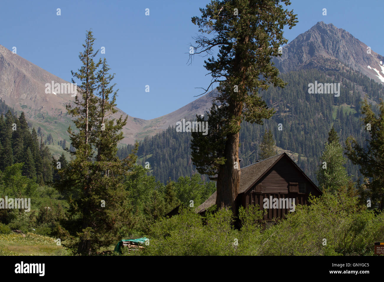 Mineral King Valley, part of Sequoia National Park. California. USA ...