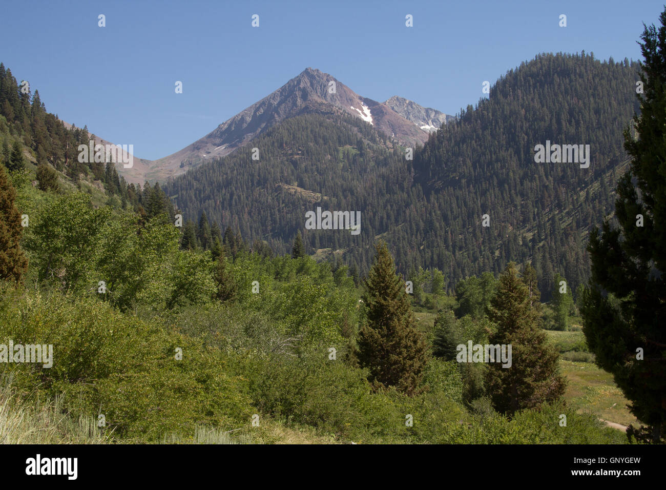 Mineral King Valley, part of Sequoia National Park. California. USA ...