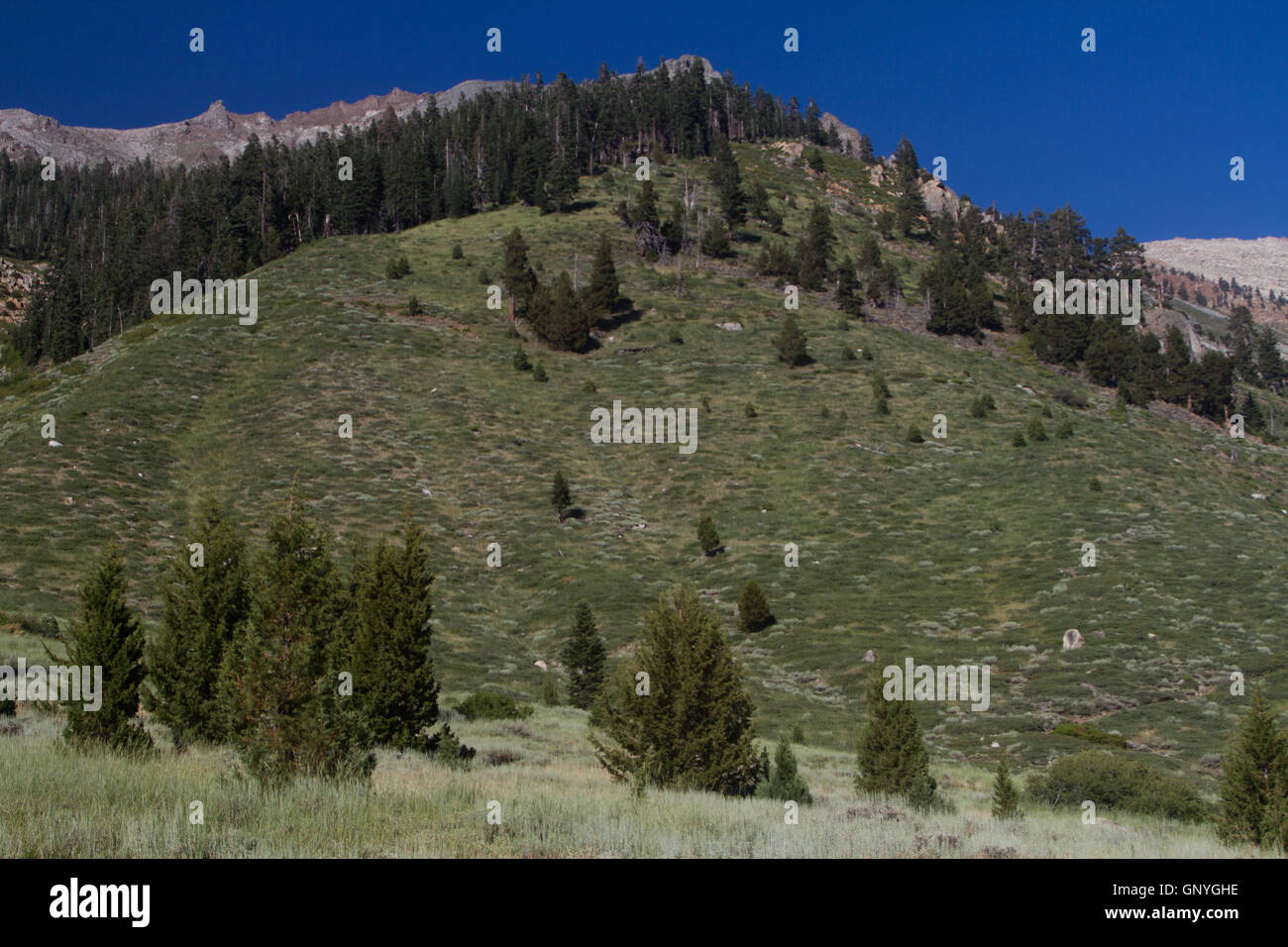 Mineral King Valley, part of Sequoia National Park. California. USA ...