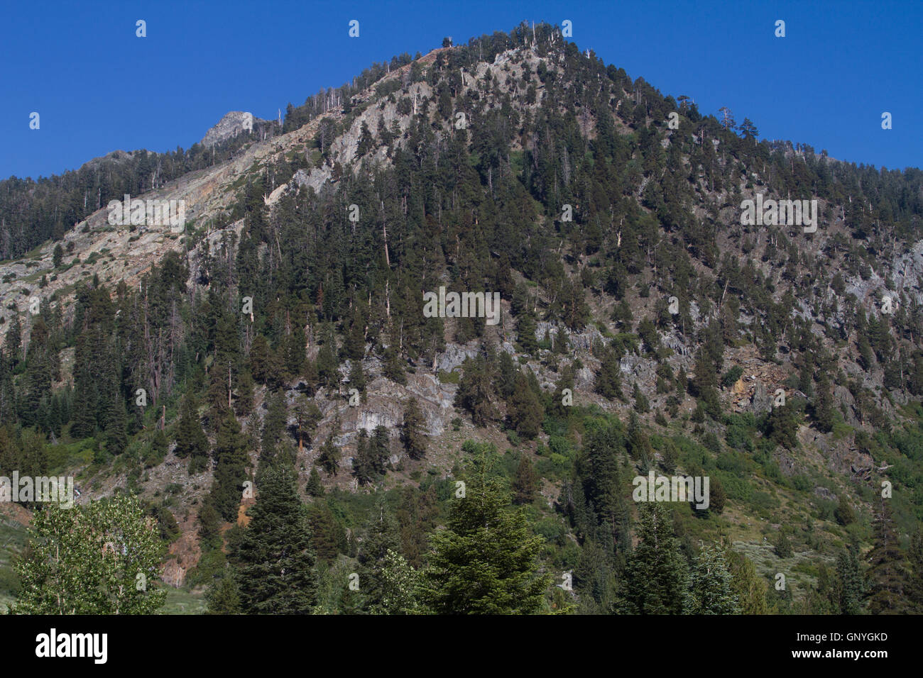 Mineral King Valley, part of Sequoia National Park. California. USA ...
