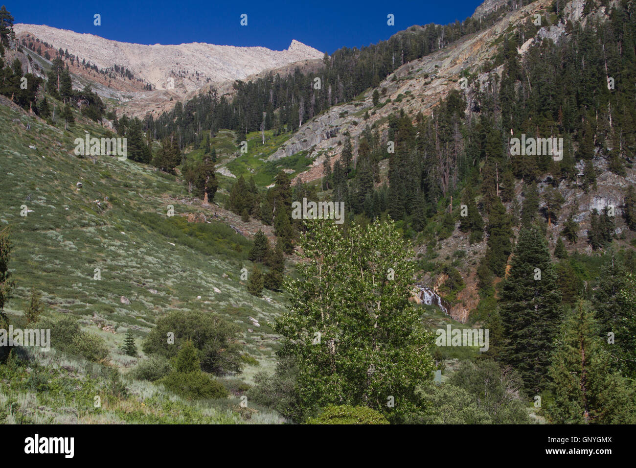 Mineral King Valley, part of Sequoia National Park. California. USA ...