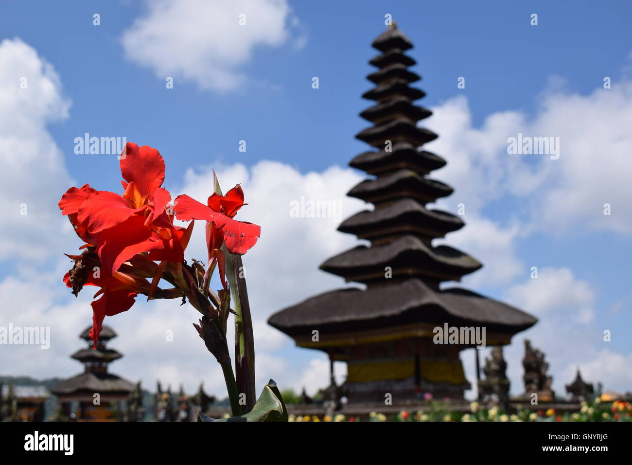Asia red flower hi-res stock photography and images - Alamy