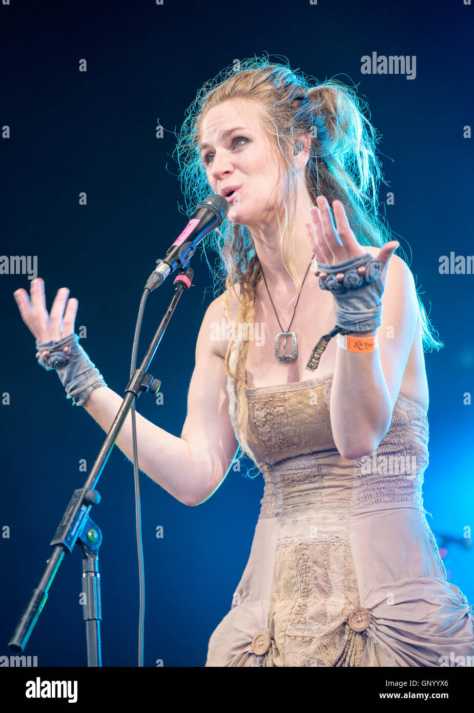 Coco and the butterfields hi-res stock photography and images - Alamy