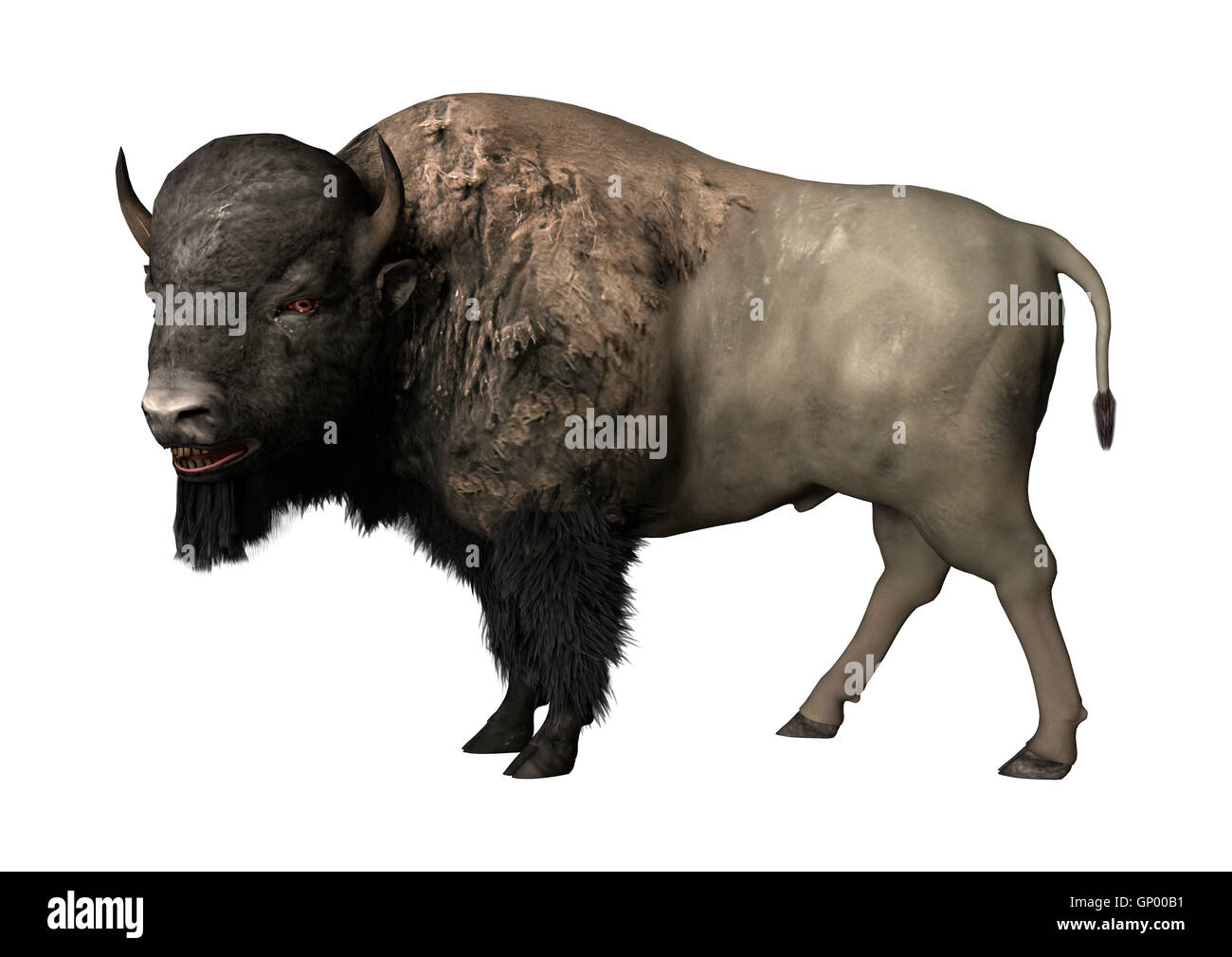 3D rendering of a bison isolated on white background Stock Photo - Alamy