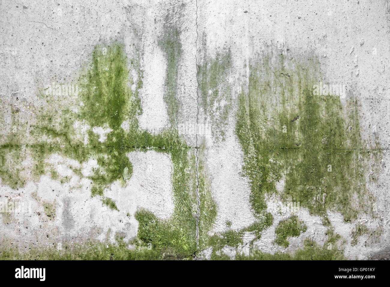 Mold wall hi-res stock photography and images - Alamy