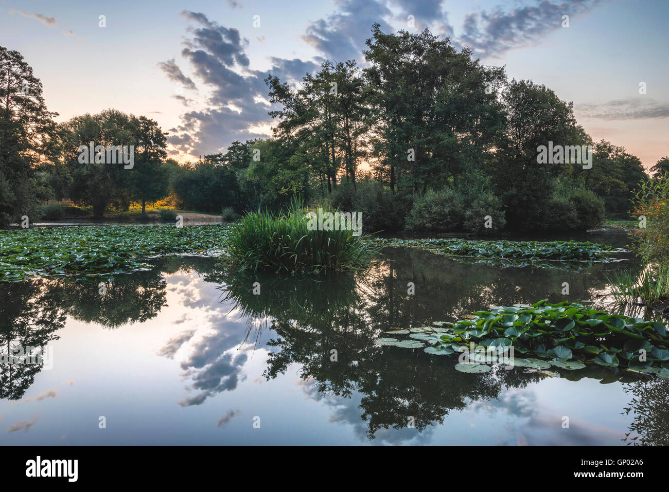 Sunrise over pond lake hi-res stock photography and images - Alamy