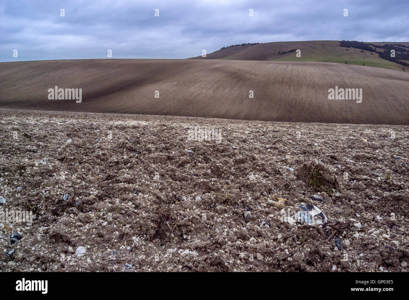 A field lying fallow in the winter Stock Photo - Alamy