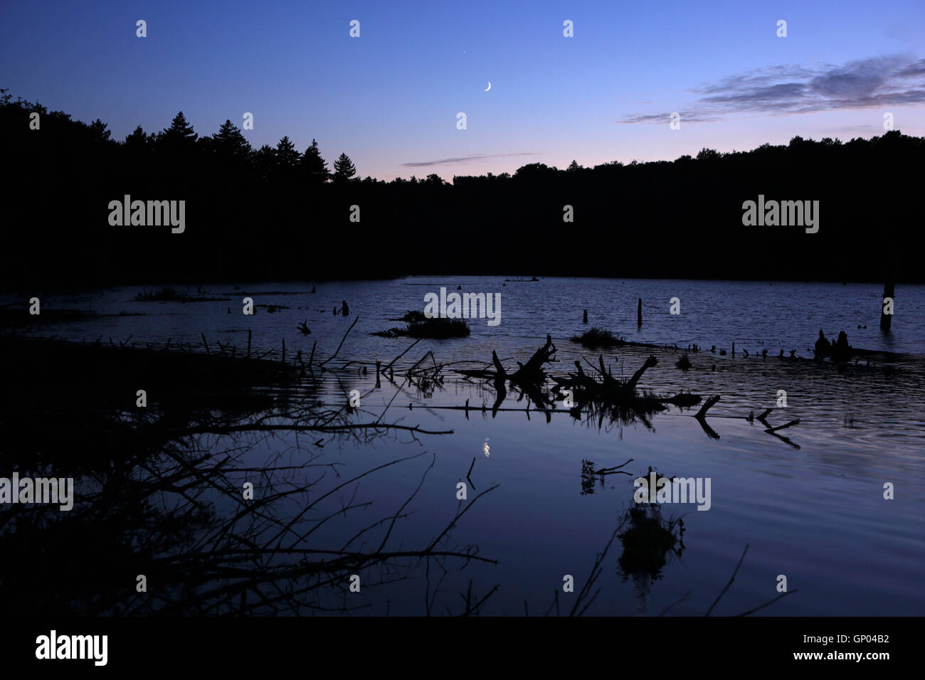 Crescent moon over forest hi-res stock photography and images - Alamy